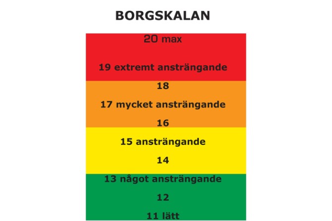Rätt zon med Borgskalan